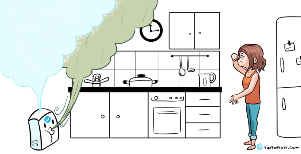 Do Air Purifiers Get Rid Of Fart Smell at Graig White blog